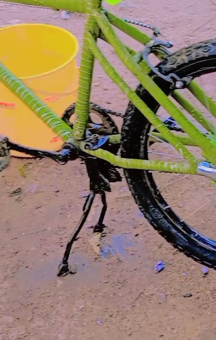 patla Frame cycle - Other Bicycles - 1110281351