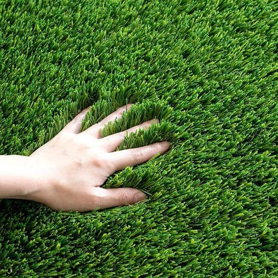Natural Korean Grass | American Grass | Fine Dhaka Grass - Artificial ...
