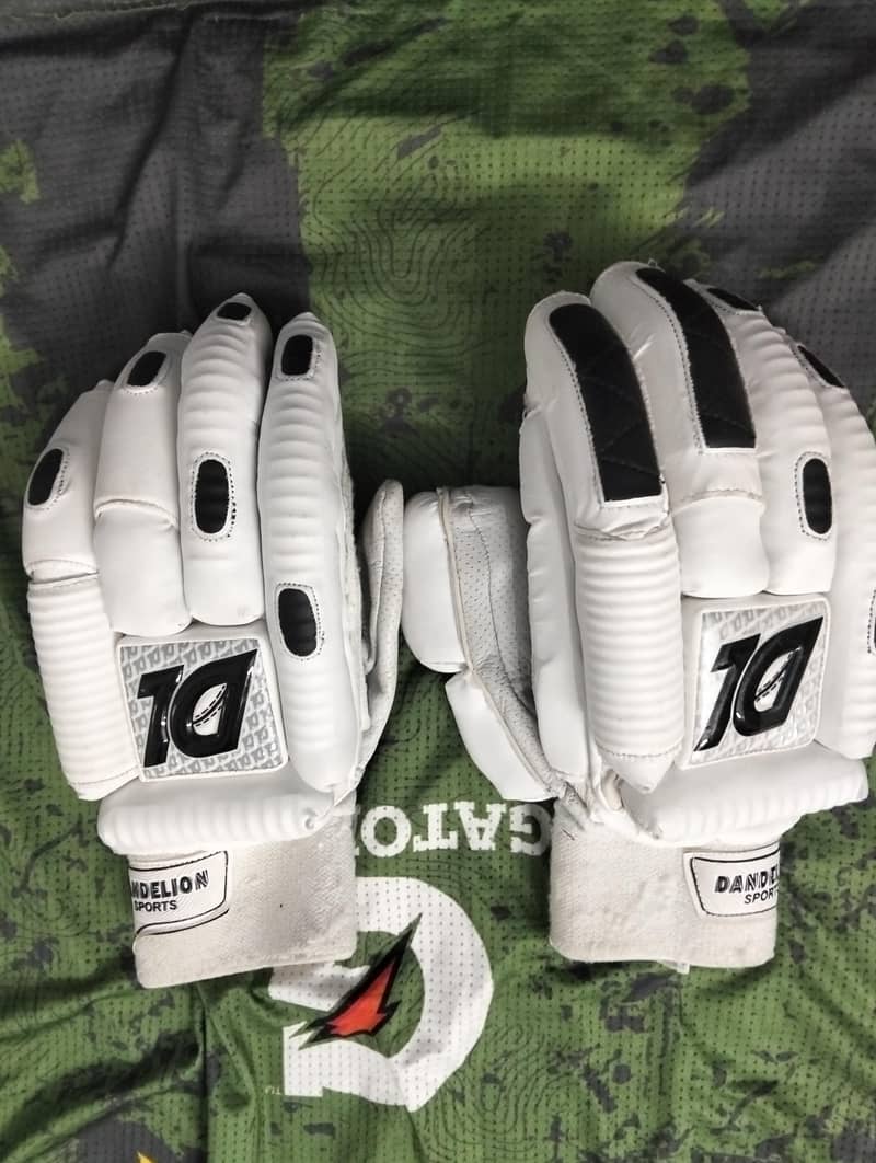 original DL Gloves & Original Pakistani Players shirts - Sports ...