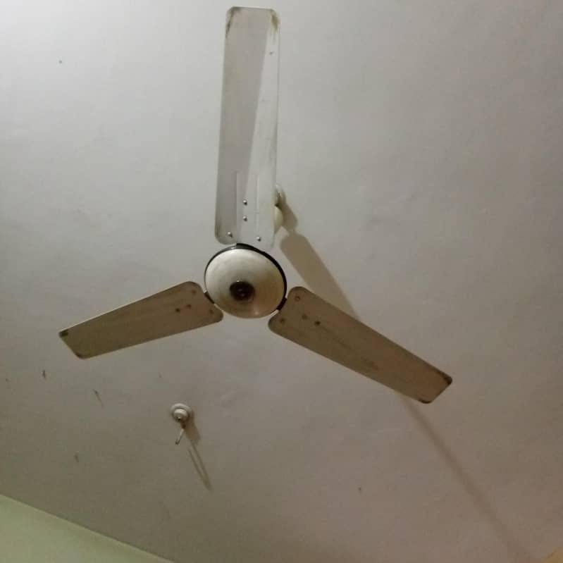 selling Pak fan - Ceiling Fans - 1110336712