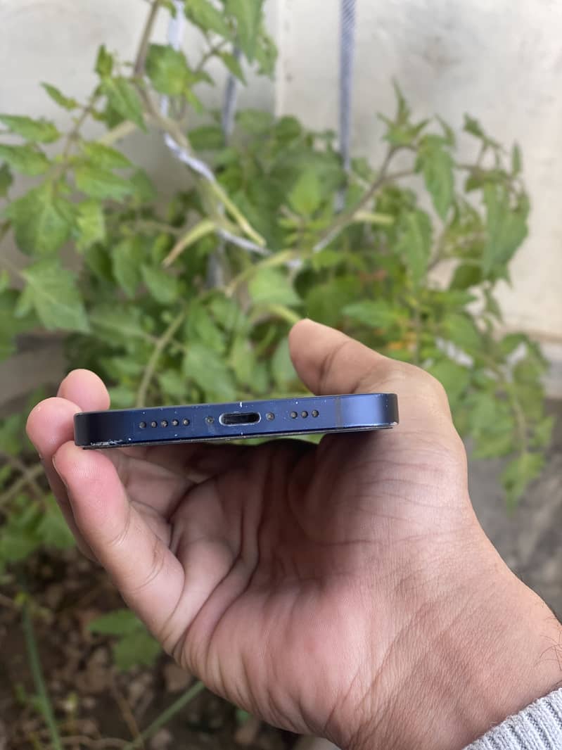 iPhone 12 - Mobile Phones - 1110349257