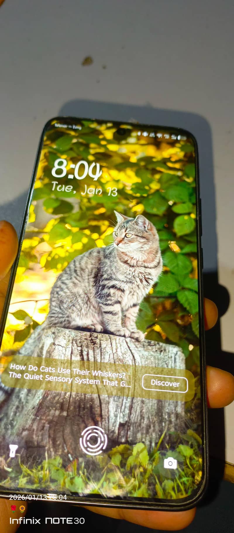 Tecno spark 40 pro plus - Mobile Phones - 1110382937