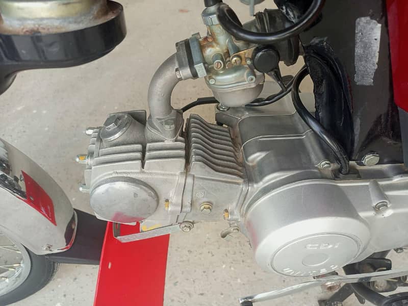 United model 2024 - Standard - 1110385985