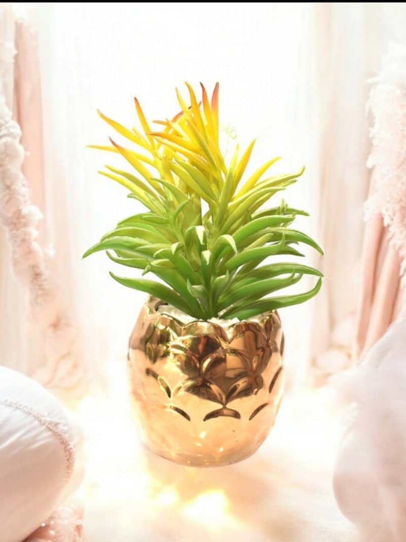 Artificial plants and frames - Artificial Flowers & Plants - 1110404612