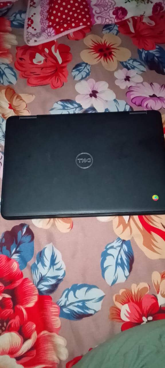 Assalamualaikum my what's app number 03171224576 - Laptops - 1110426625