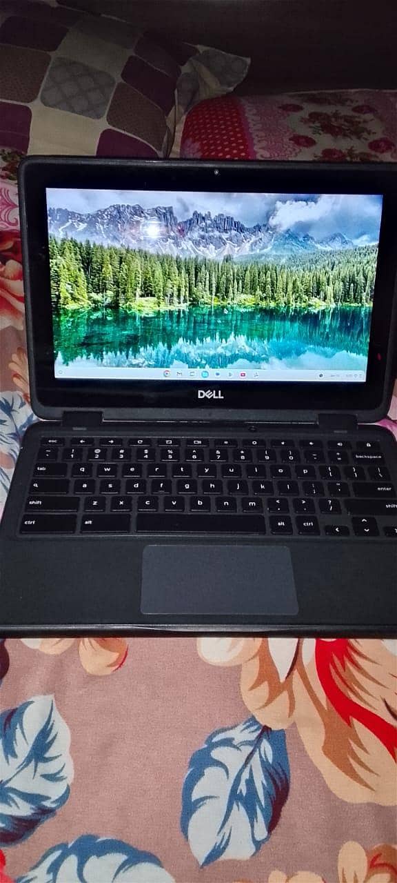 Assalamualaikum my what's app number 03171224576 - Laptops - 1110426625