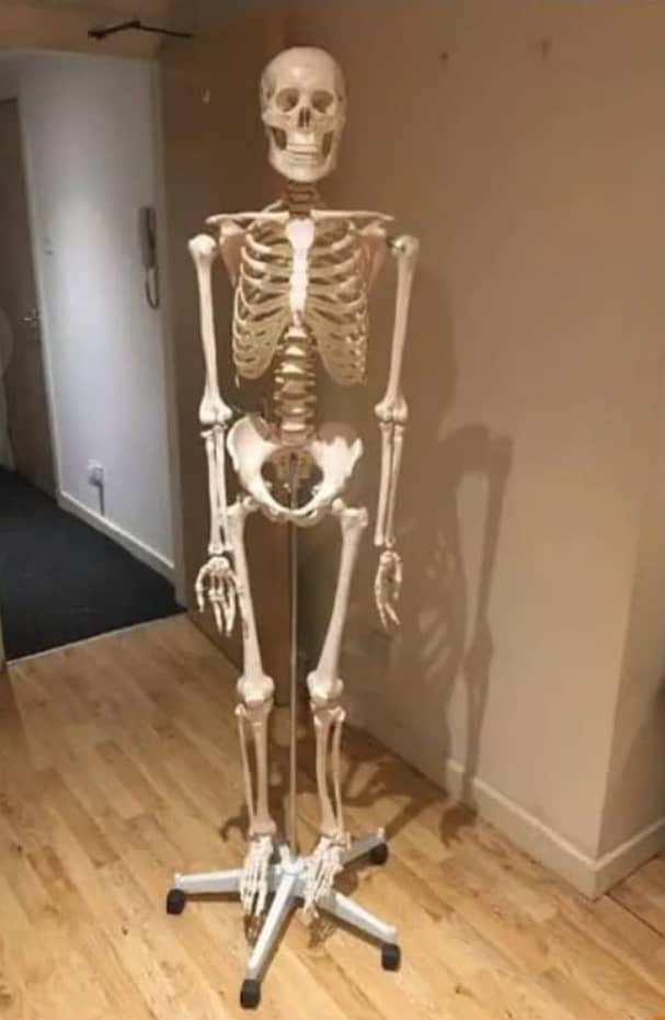 School & College Science Lab Equipment & Models for Sale - Other ...