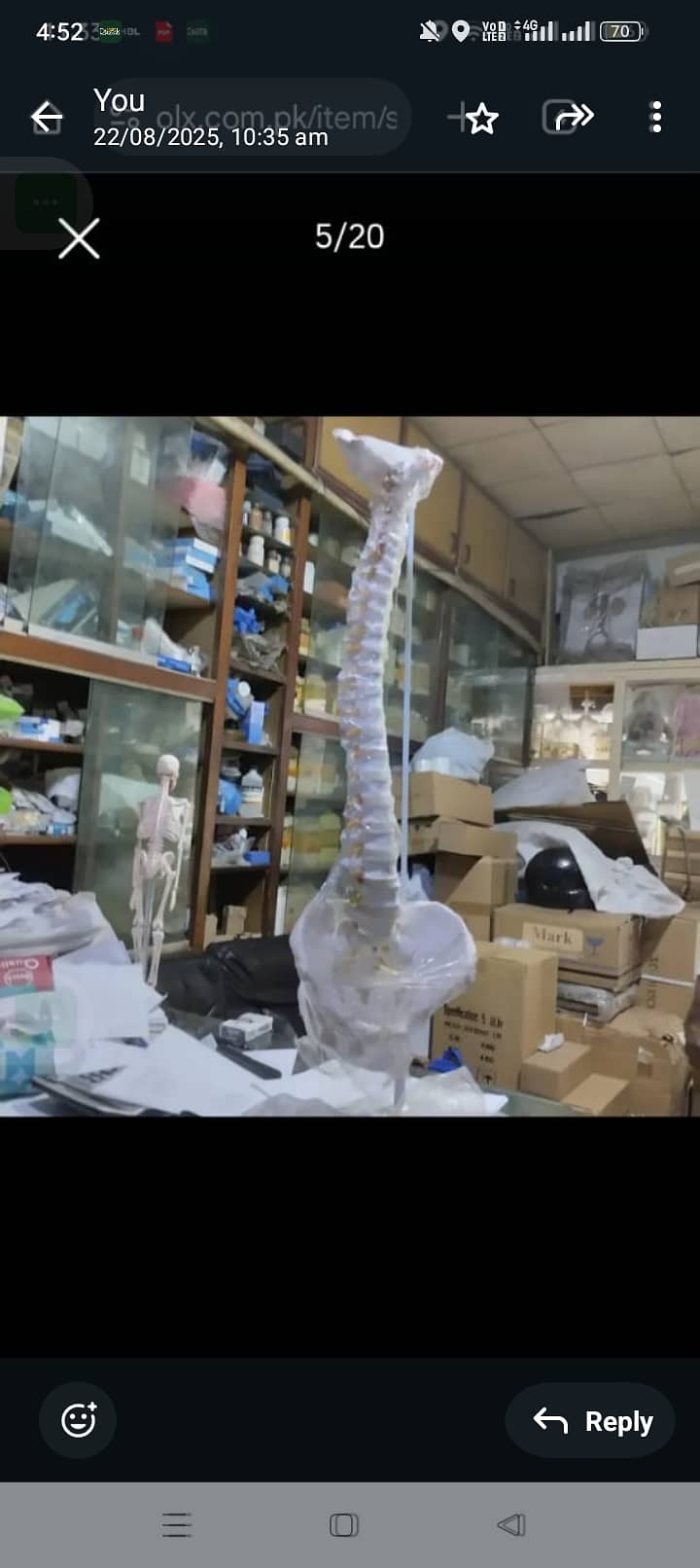 School & College Science Lab Equipment & Models for Sale - Other ...