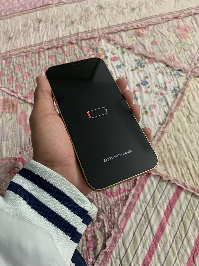 IP 12 PM PTA DUAL PHYSICAL 256GB - Mobile Phones - 1110445086