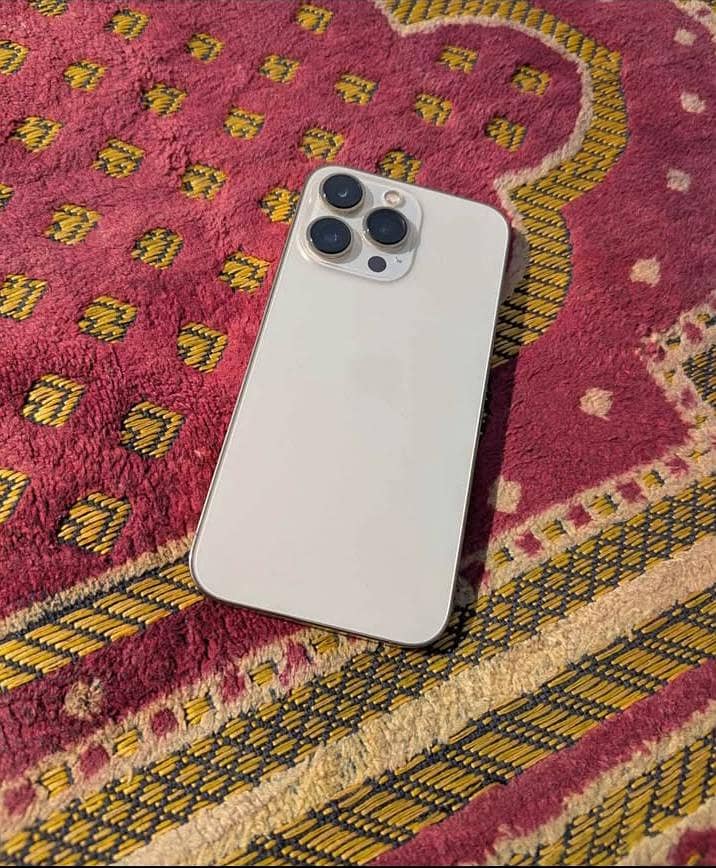 Apple Iphone 13 Pro Max 99% BH Condition 10/10 - Mobile Phones - 1110450874