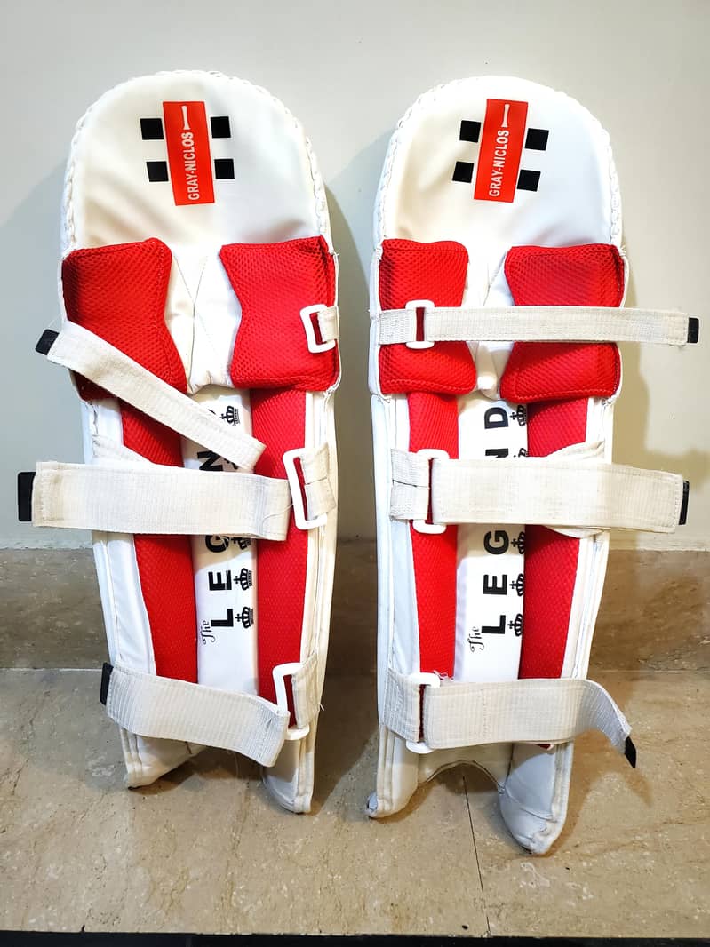 Cricket Kit (Bat, Pads, Thigh Pads, Helmet, Gloves, Bag) - Sports ...