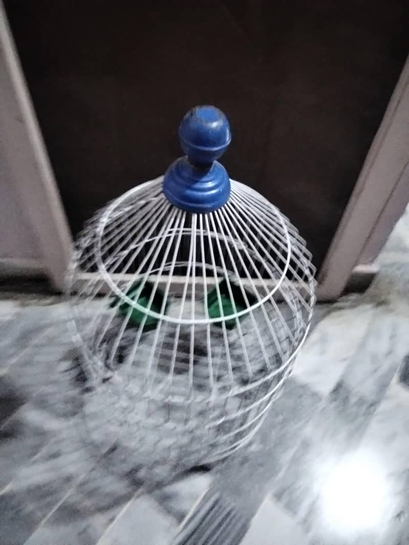 Bird Cage - Cages, Crates & Doors - 1110500927