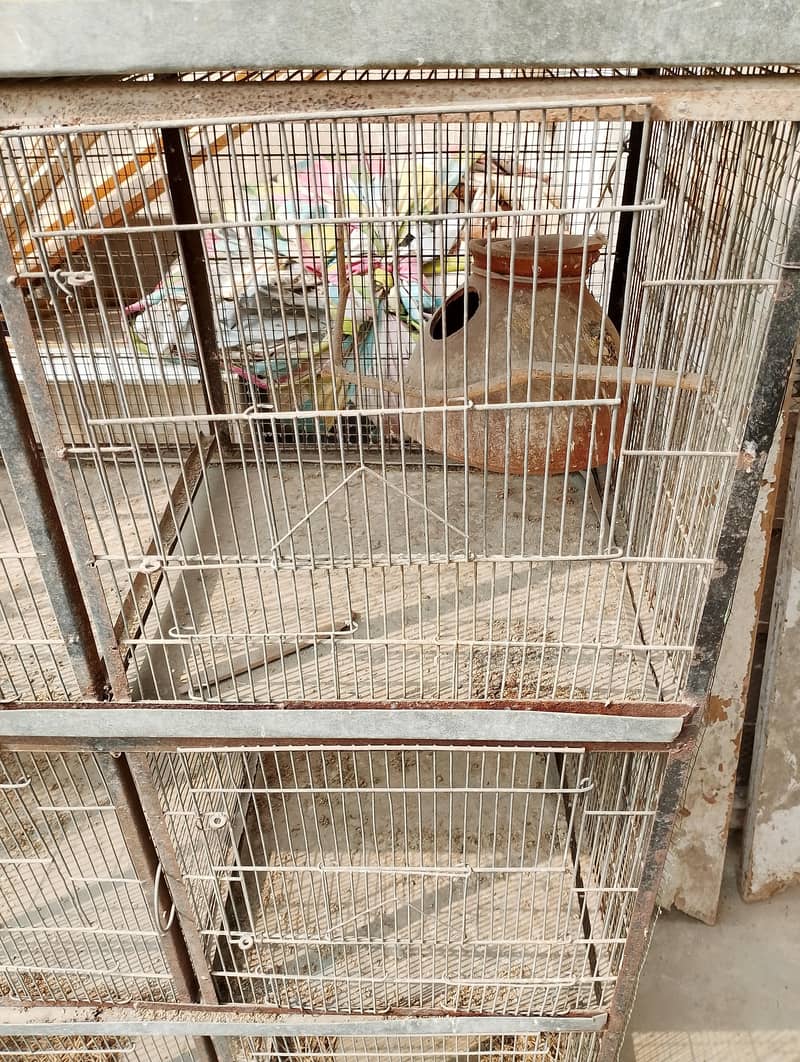 Cages 8 portions - Cages, Crates & Doors - 1110518493