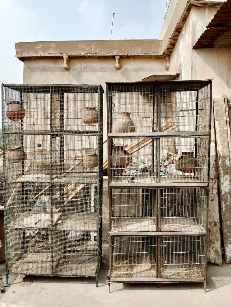 Cages 8 portions - Cages, Crates & Doors - 1110518493