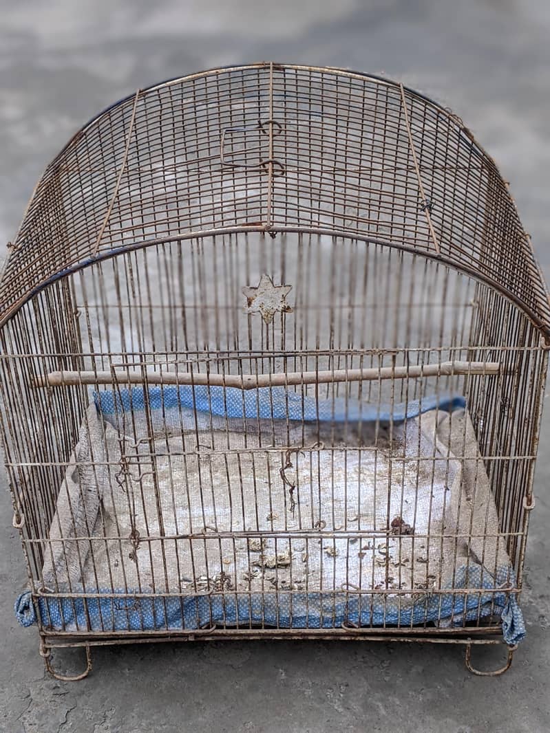 One iron cage one wood cage One Ring nick breeding box - Birds ...