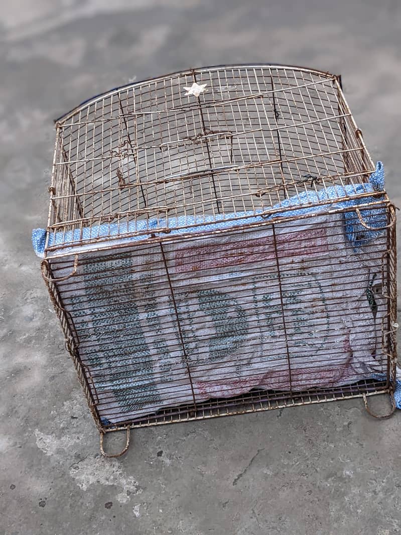 One iron cage one wood cage One Ring nick breeding box - Birds ...