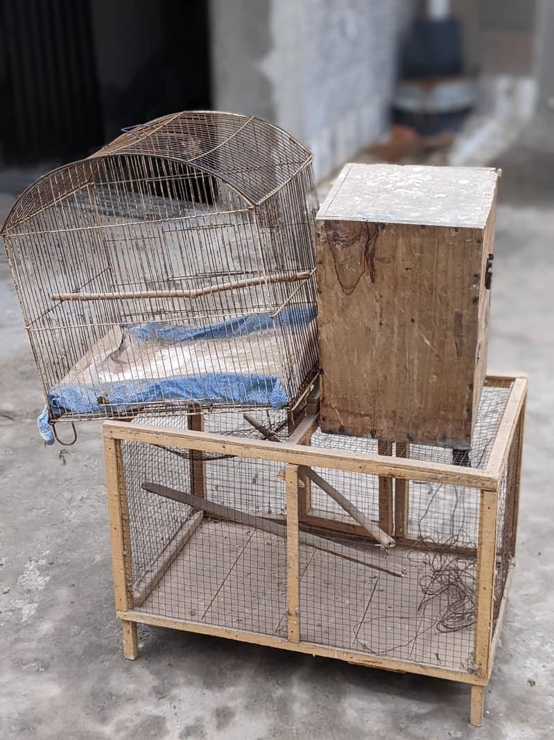 One iron cage one wood cage One Ring nick breeding box - Birds ...