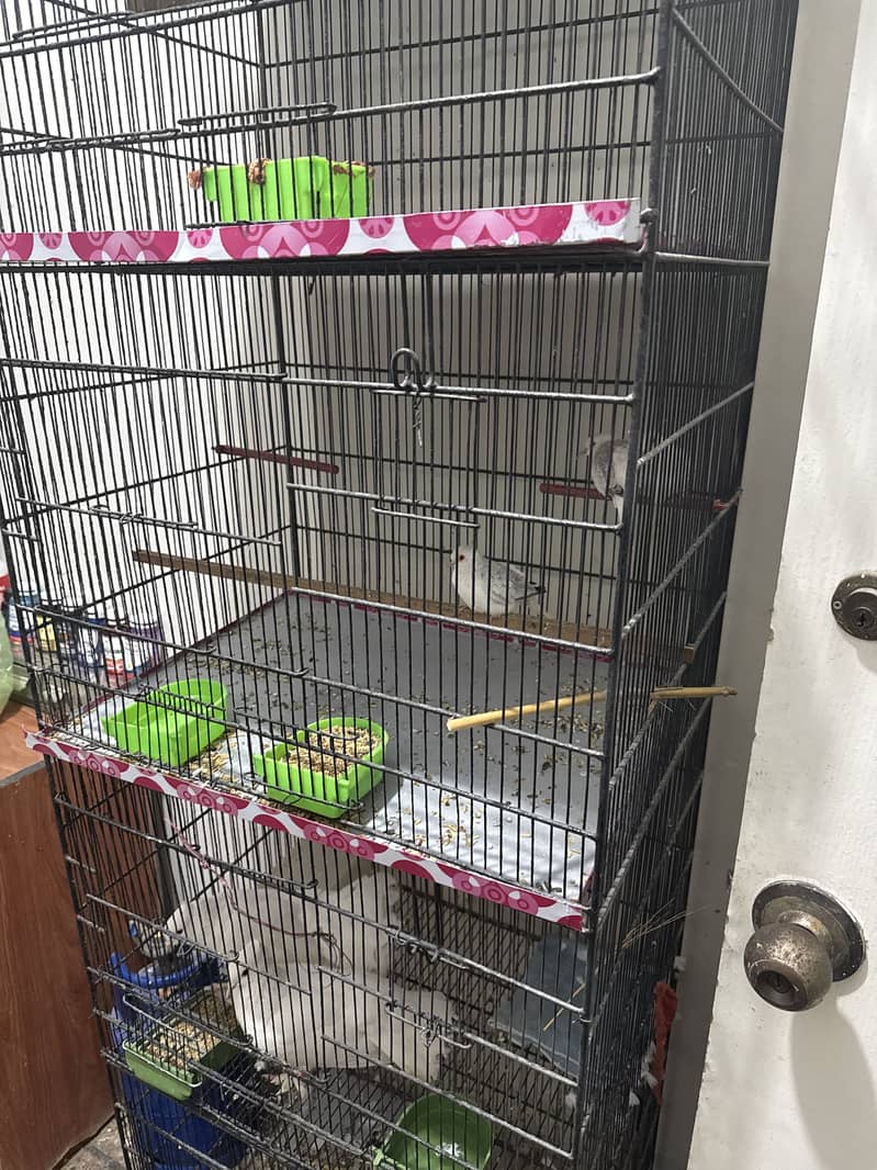 Cage for sale Large Cage Vertical Standing Cage - Cages, Crates & Doors ...