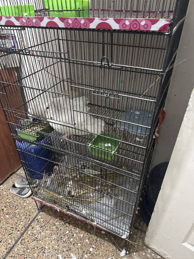 Cage for sale Large Cage Vertical Standing Cage - Cages, Crates & Doors ...
