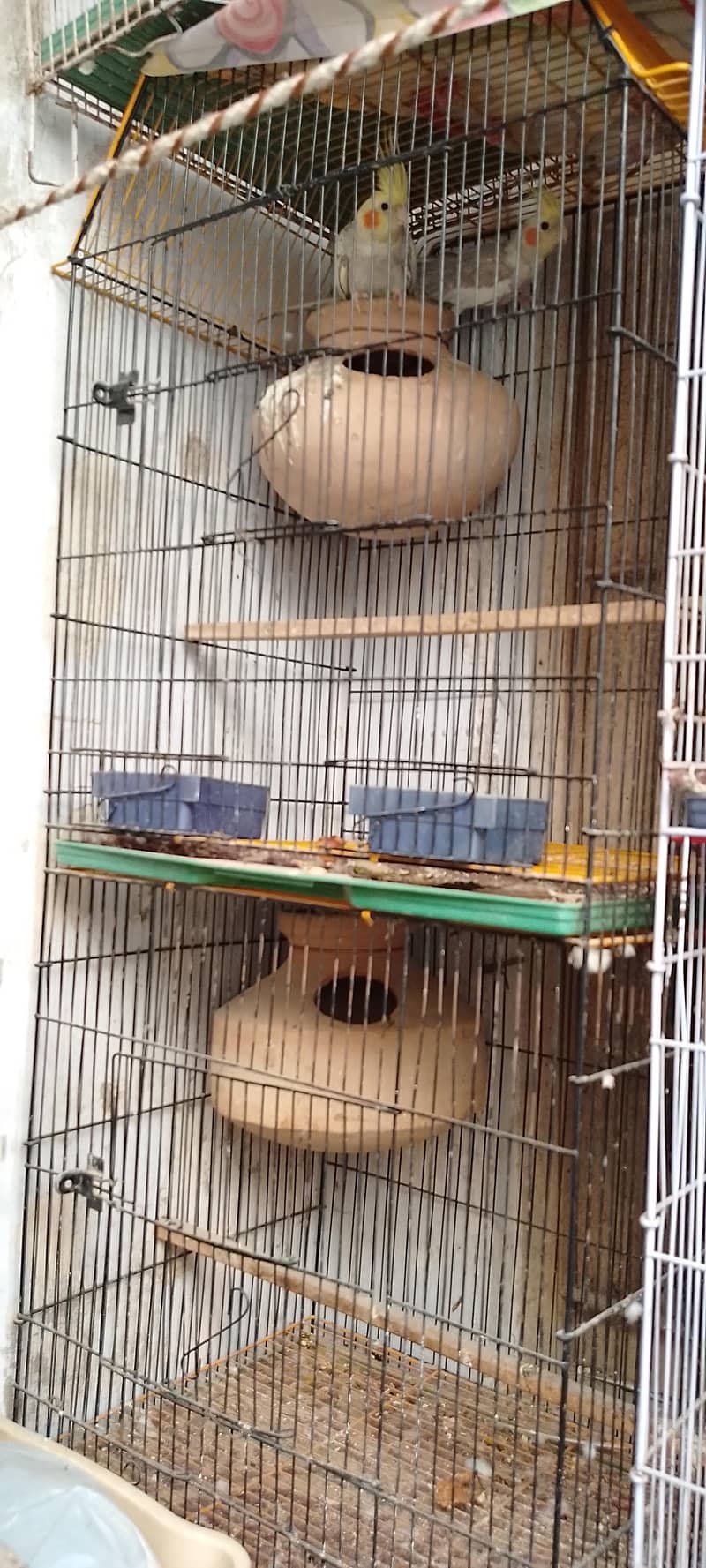 2 portion Bird cage - Cages, Crates & Doors - 1110628565