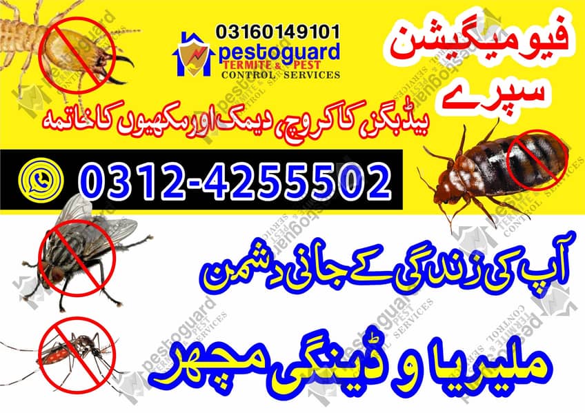 dengue spray/termite/pest control/Deemak control service /cockroach ...