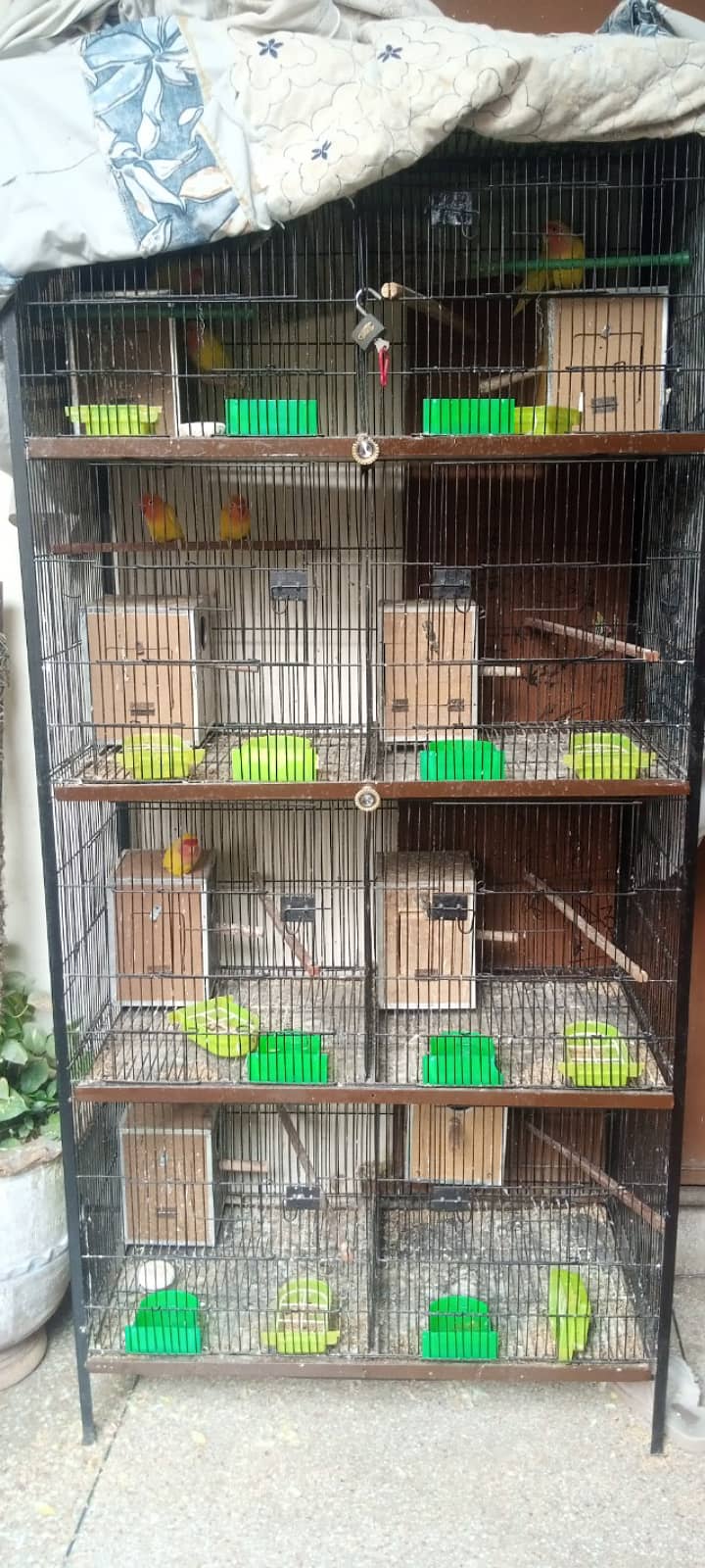 8 portion cage - Hen Cages - 1110692311