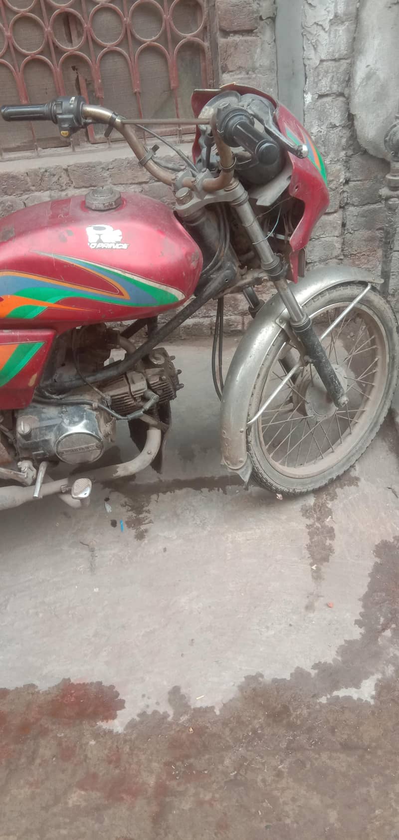 Rachaka - Standard - 1110751281