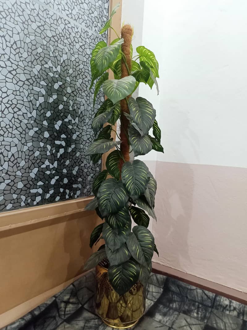 office furniture almost new - Other Office Furniture - 1110753113