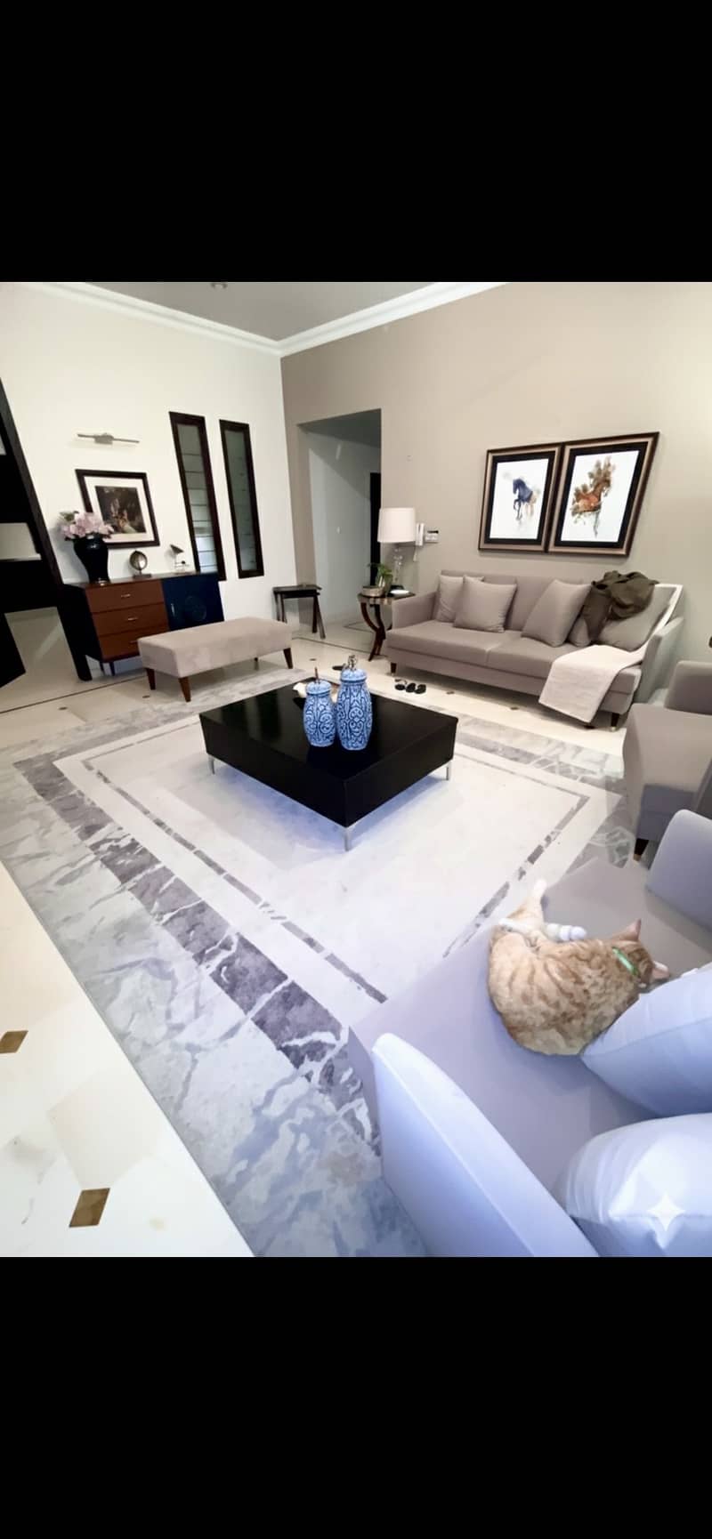 Exclusive carpet sale ending soon - Carpets - 1110771658