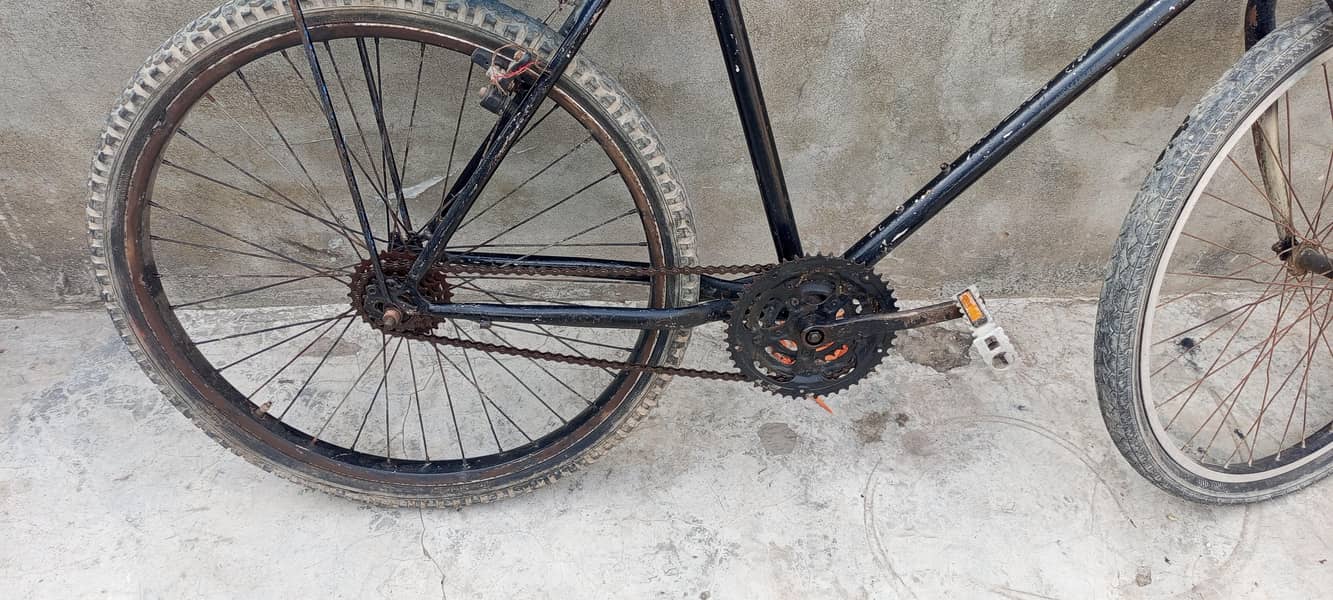 phoenix cycle - Other Bicycles - 1110794165