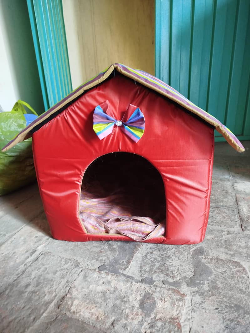 white Persian cat - Cats - 1110818268