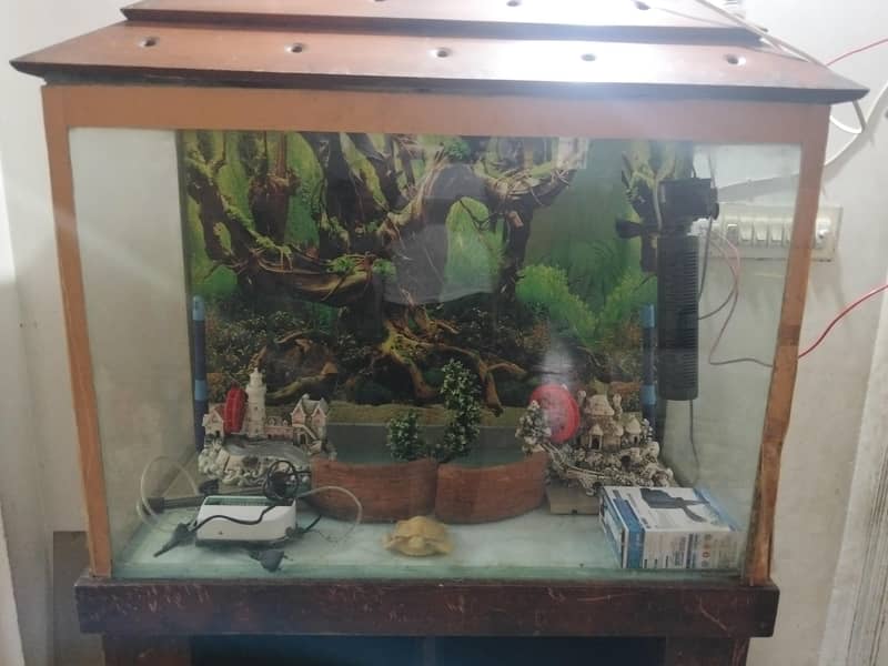 aquarium fish - Other Home Appliances - 1110837651