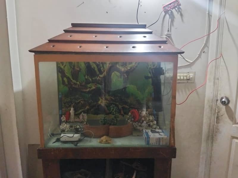 aquarium fish - Other Home Appliances - 1110837651