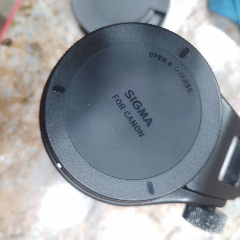 sigma 105mm lens - Camera Lenses - 1110846461