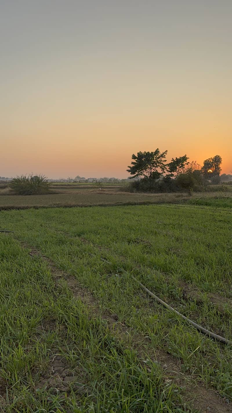 24 Kanal Land With Dera - Land & Plots - 1110852856