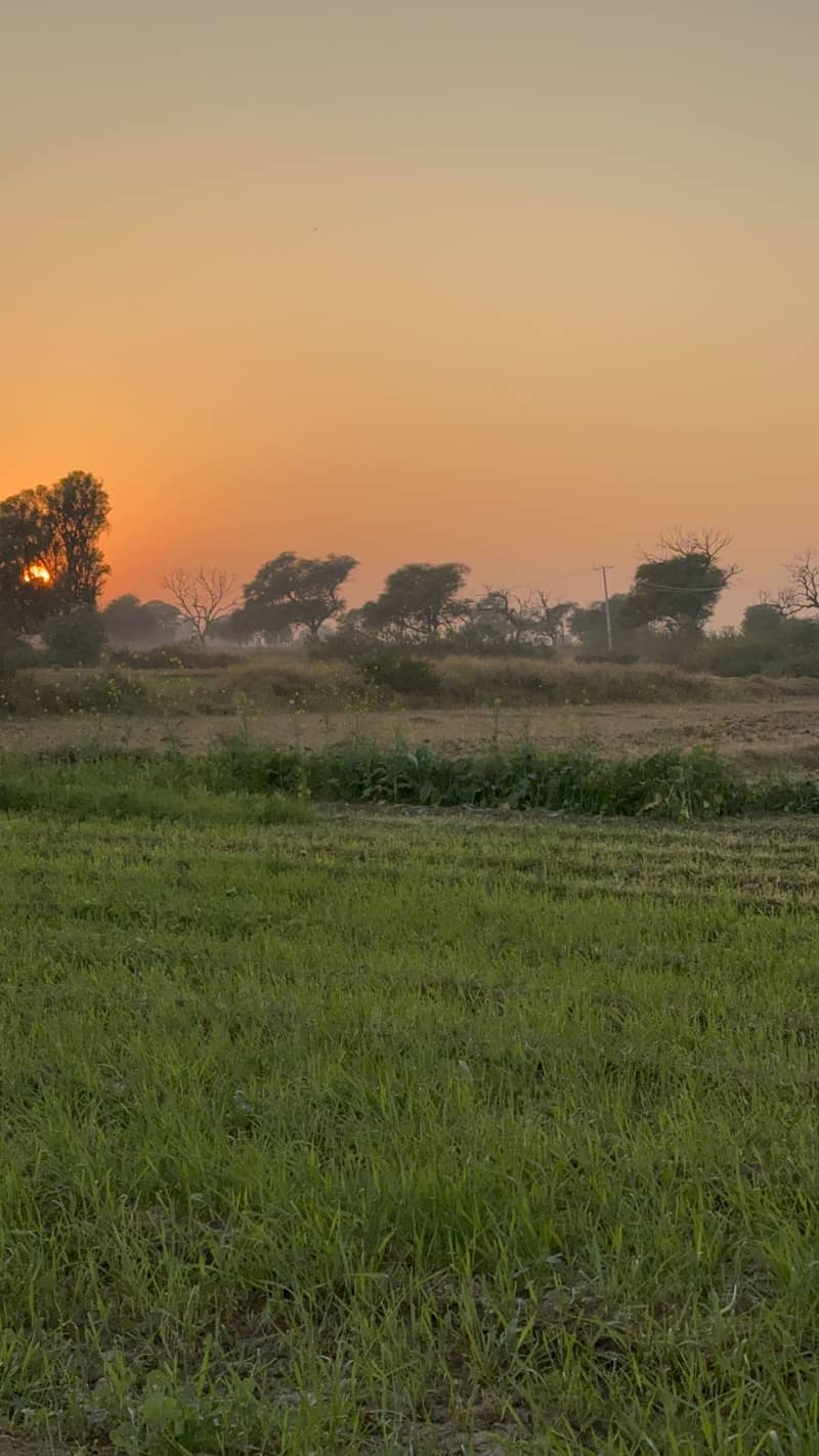 24 Kanal Land With Dera - Land & Plots - 1110852856