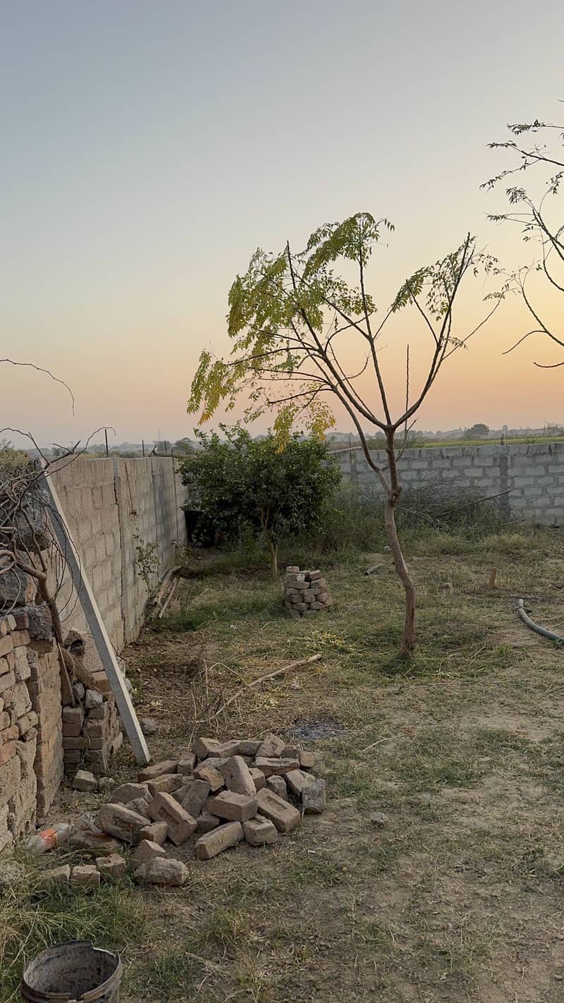 24 Kanal Land With Dera - Land & Plots - 1110852856