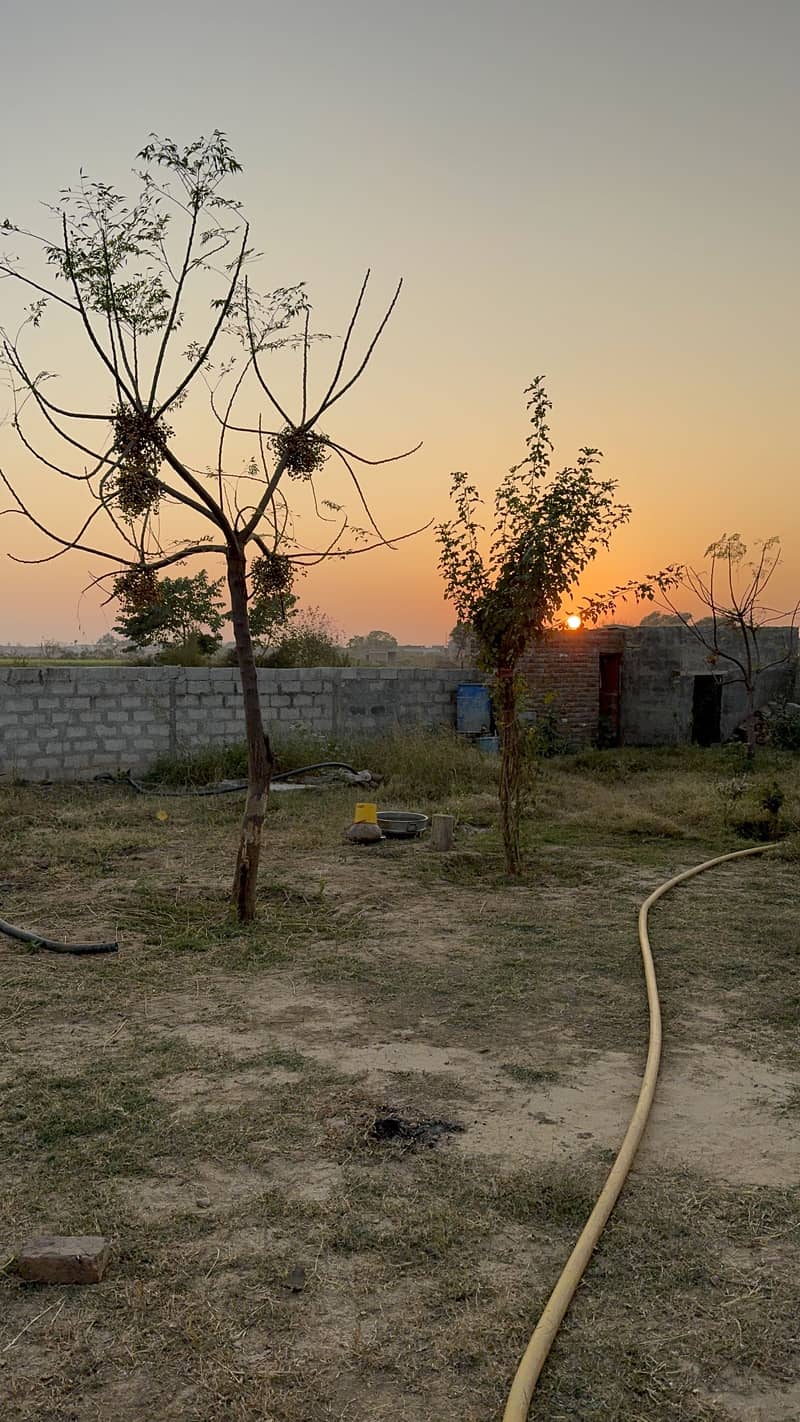 24 Kanal Land With Dera - Land & Plots - 1110852856