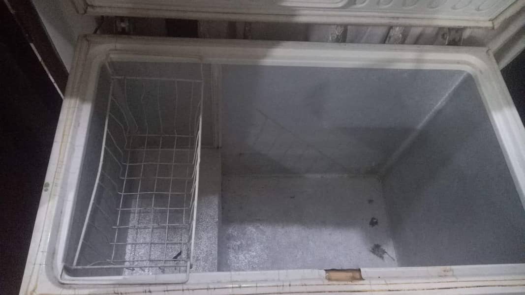 Wave Single Door Deep Freezer. - Freezers - 1110865794