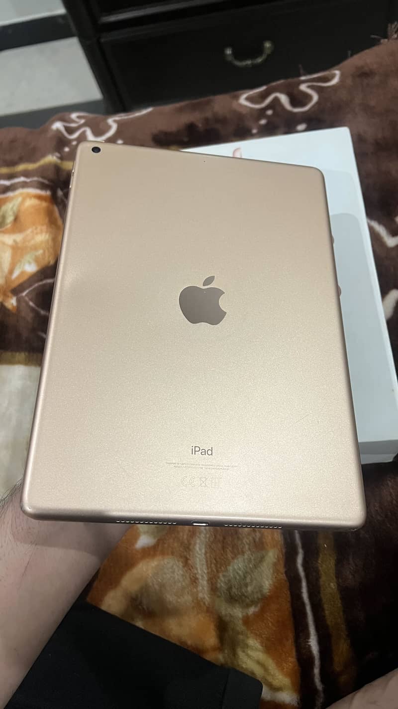 Apple iPad 7 - Tablets - 1110977304