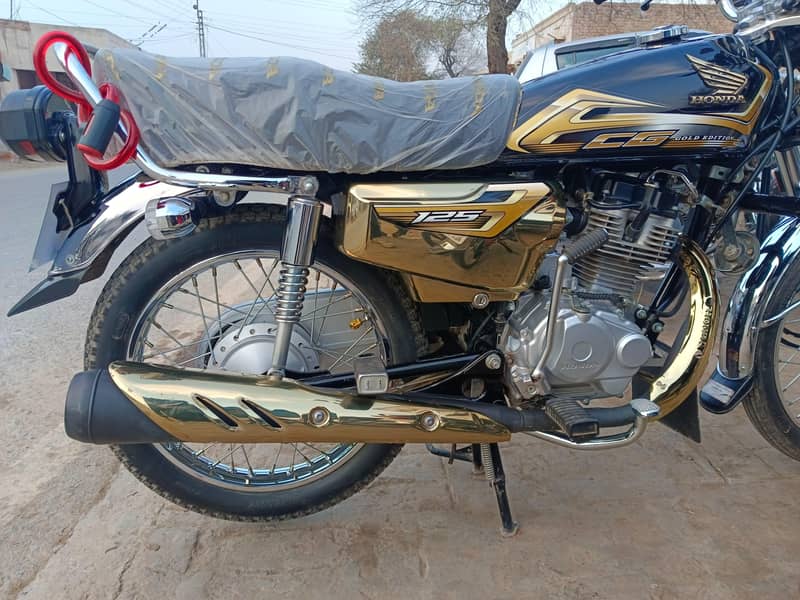 CG 125 Gold 26 Model - Standard - 1110997444
