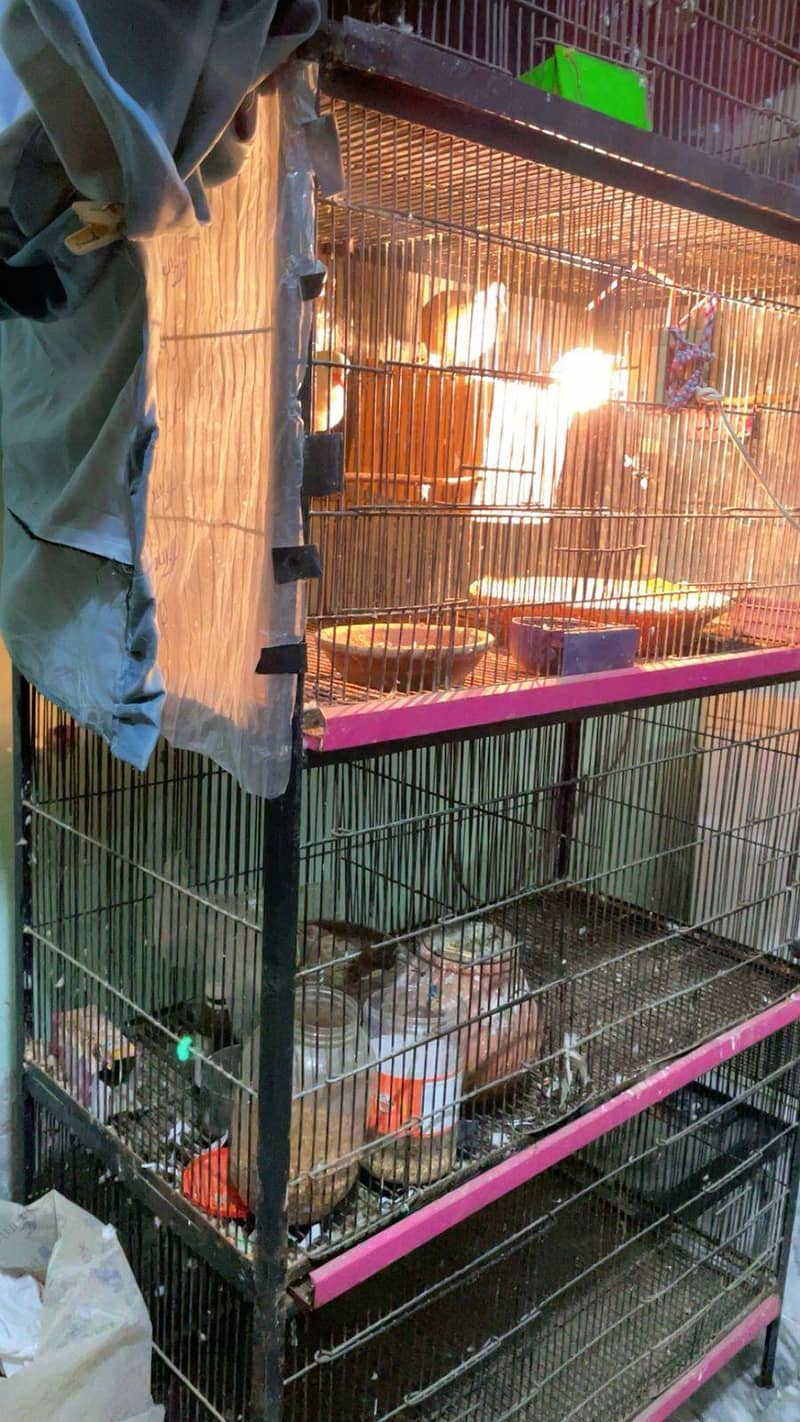 Heavy Iron Cage 8 portion - Cages, Crates & Doors - 1111008327