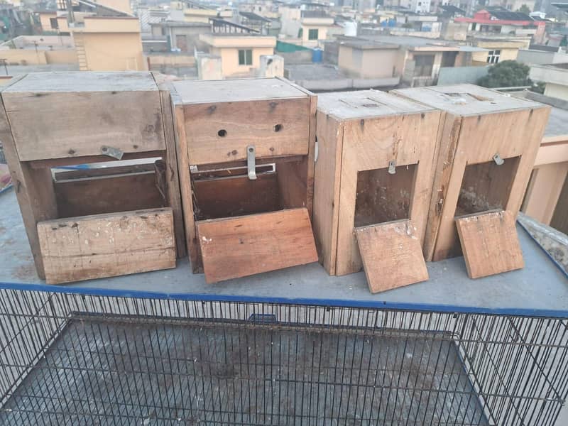 Breeding Boxes and 8 Portion Cage - Cages, Crates & Doors - 1111031956
