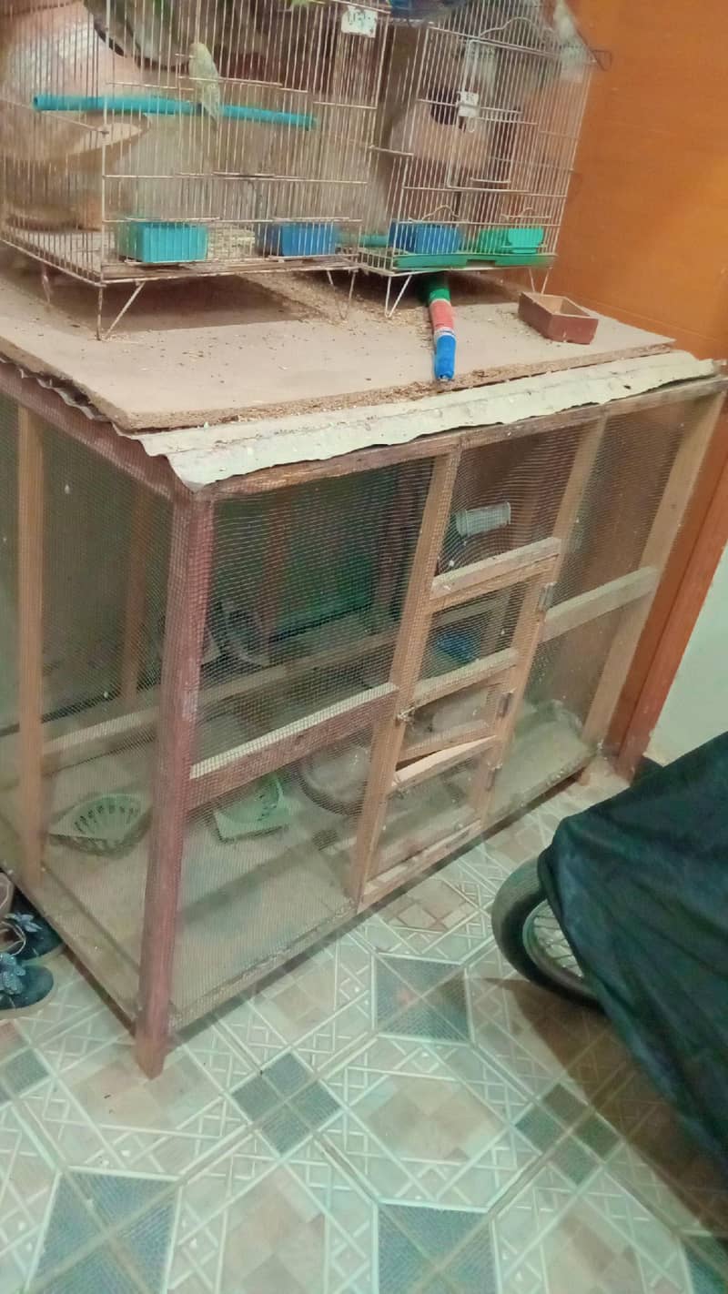 Colony Cage - Cages, Crates & Doors - 1111212023