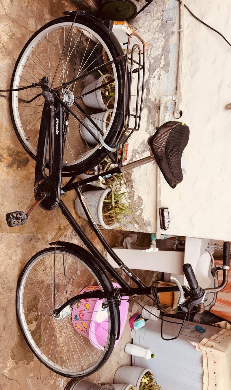 baji cycle - Other Bicycles - 1113795009