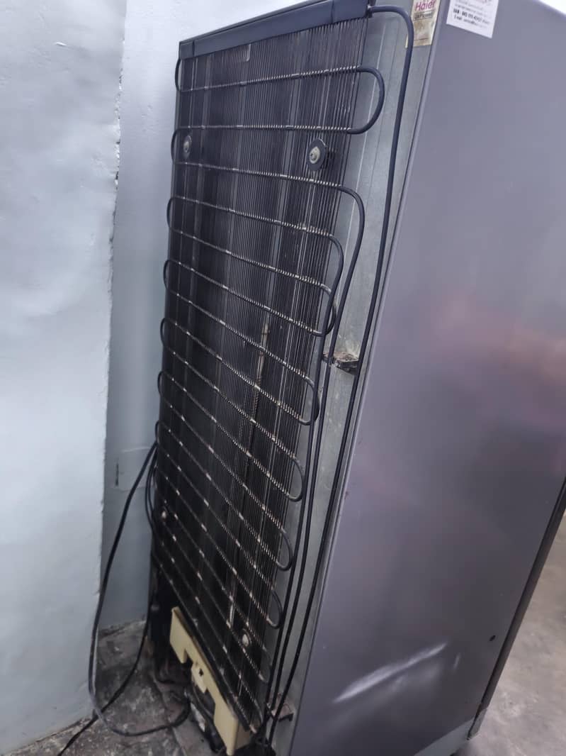 Haier Fridge - Refrigerators - 1114949525