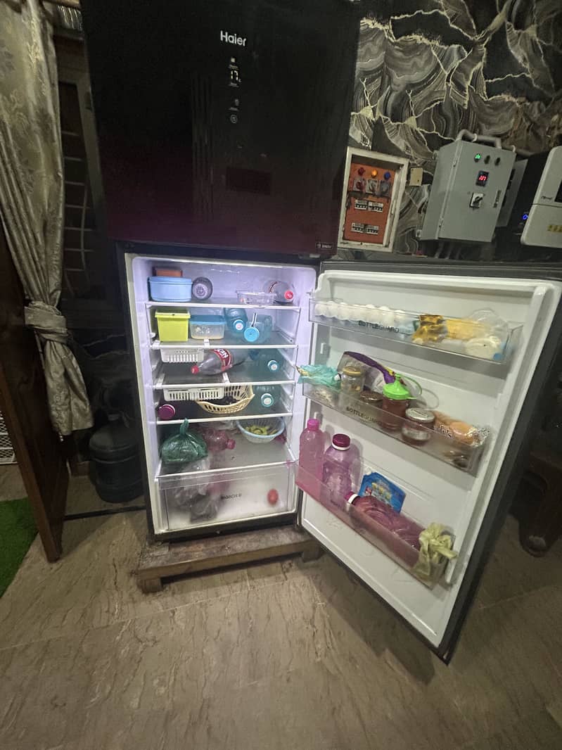 Hailer - Refrigerators - 1115446139
