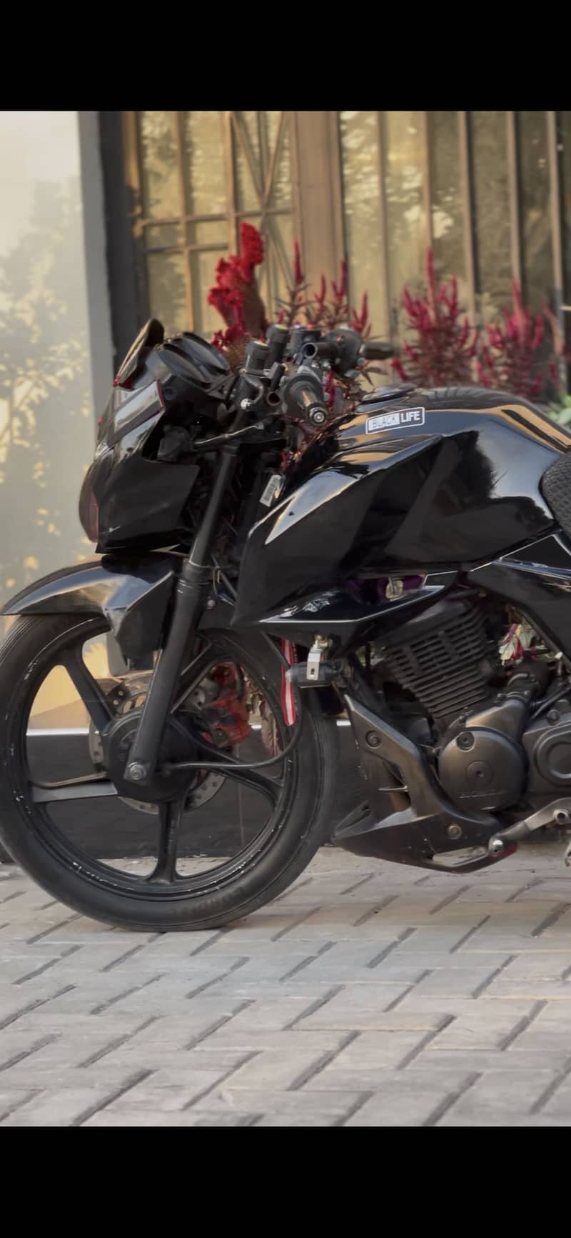 Honda Cb150f - Standard Bikes - 1115652185