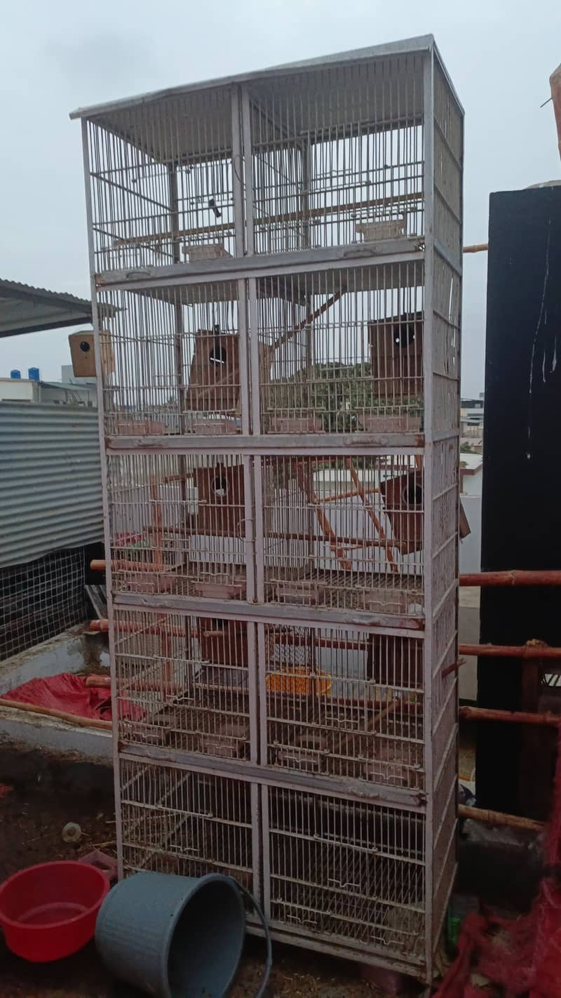 10 portions cage - Cages, Crates & Doors - 1115694789
