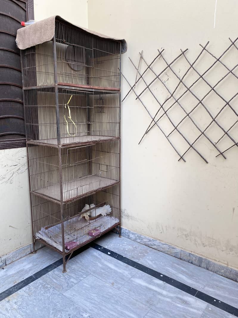 pet cage - Cages, Crates & Doors - 1115729292